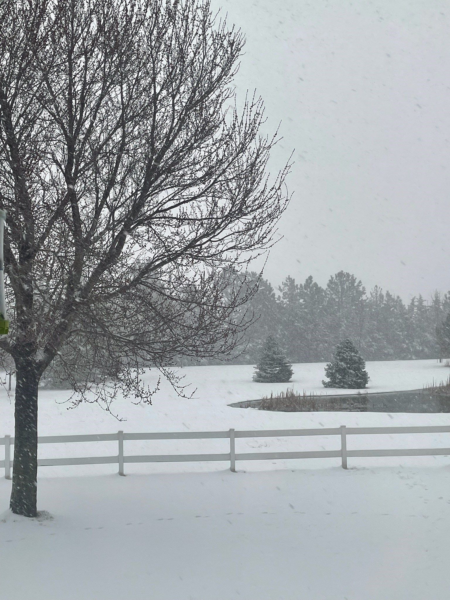 April Fools' Day snow hits areas of Nebraska - SANDHILLS - NEWS CHANNEL ...